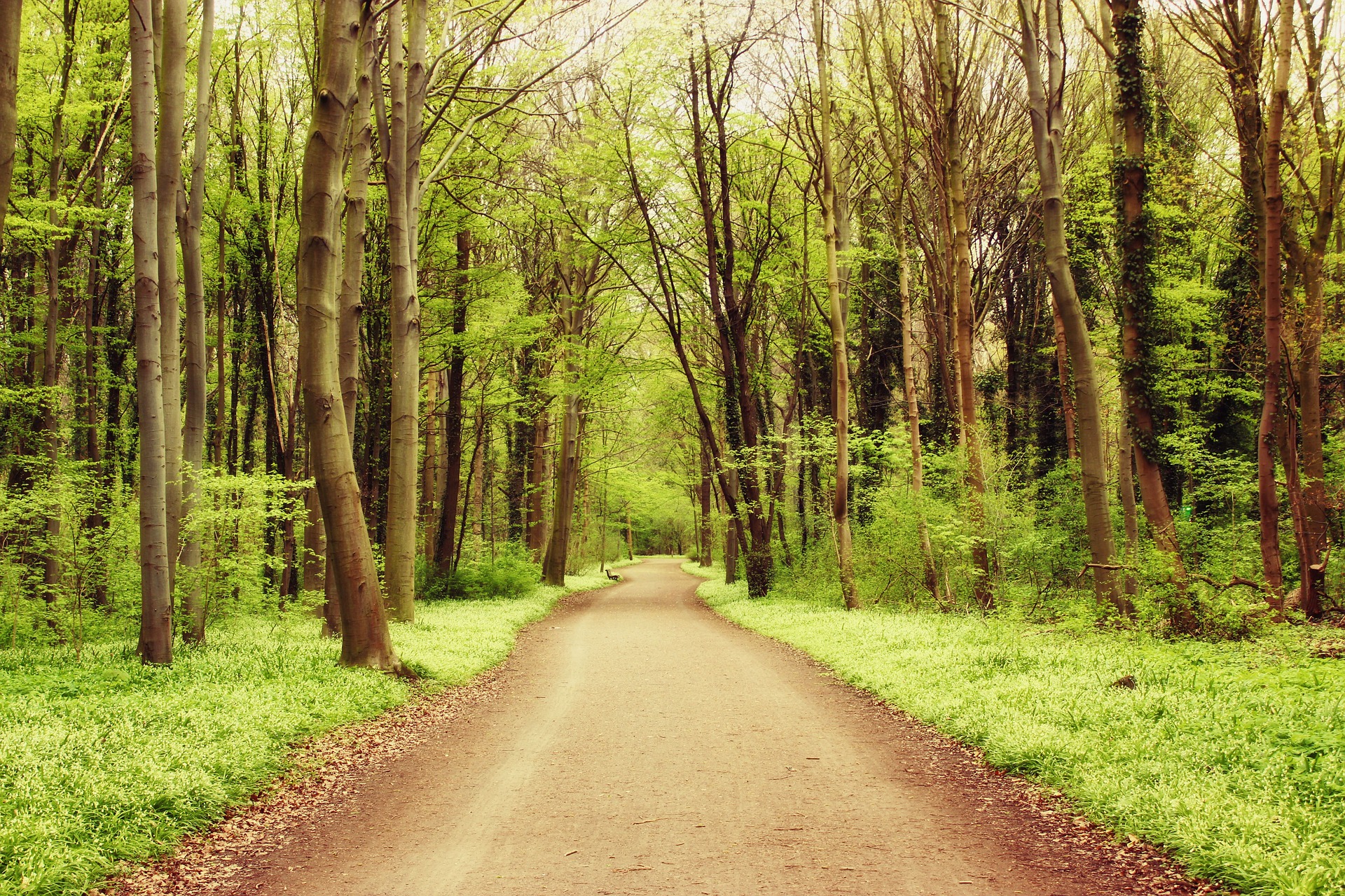 Mental Health Counseling Improving Your Mental Self Esteem Lake Worth
